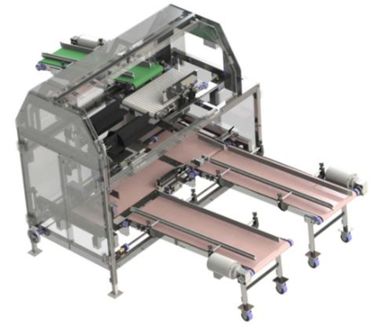 Case Packers - MD Packaging